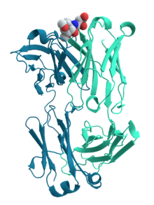 KREX Protein Folding Technology • Alfatech